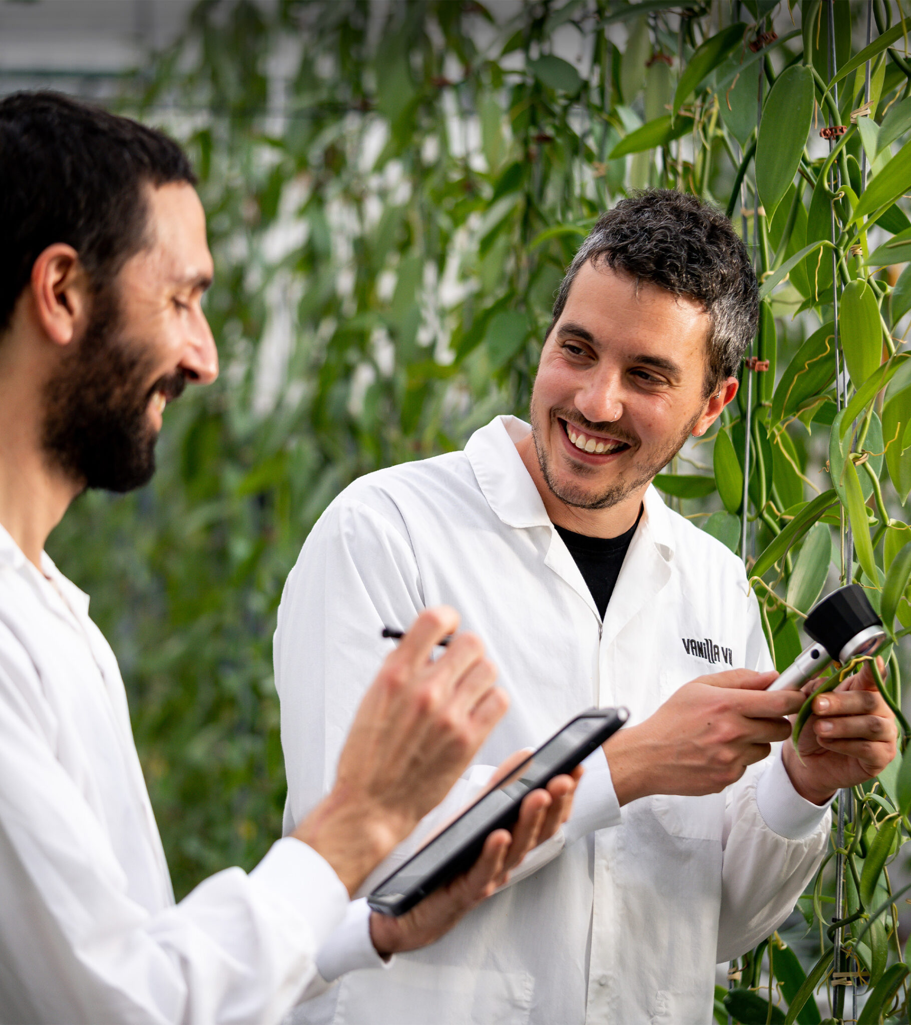 About – Vanilla Vida